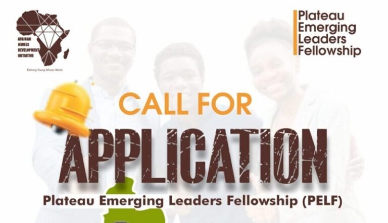 Link to Apply For The AJDI Plateau Emerging Leaders Fellowship (PELF) 2025
