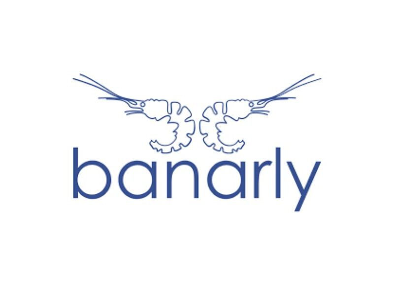 Apply and Join Interswitch Job Shadowing Program 2025 - Pastquestion